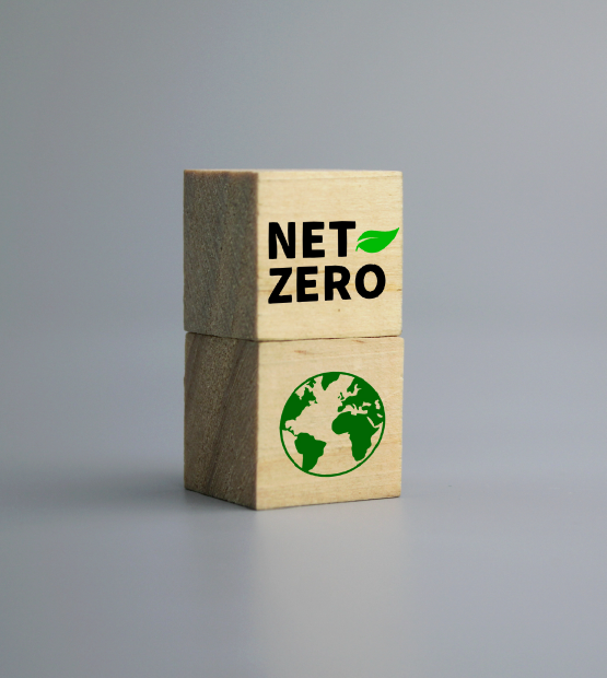 Our Journey to Net Zero: Joining the UN's Race to Zero Campaign